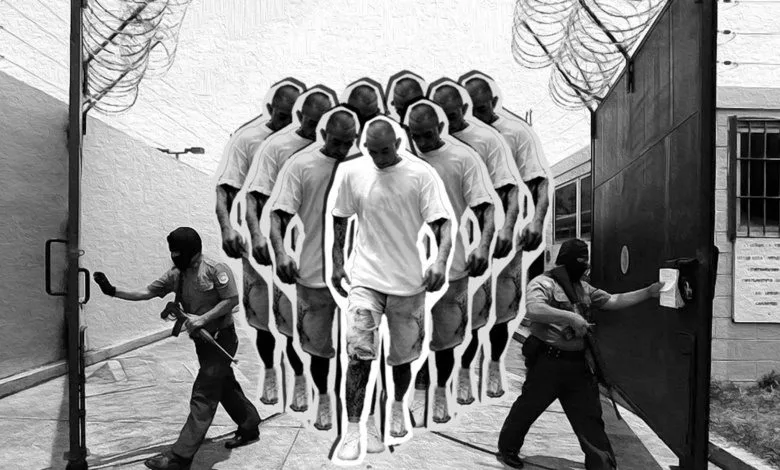 The 749 releases of gang members from Zacatecoluca (During 33 months of ...