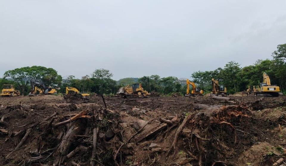 Nighttime tree felling in El Espino sparks public outrage — Tala ...